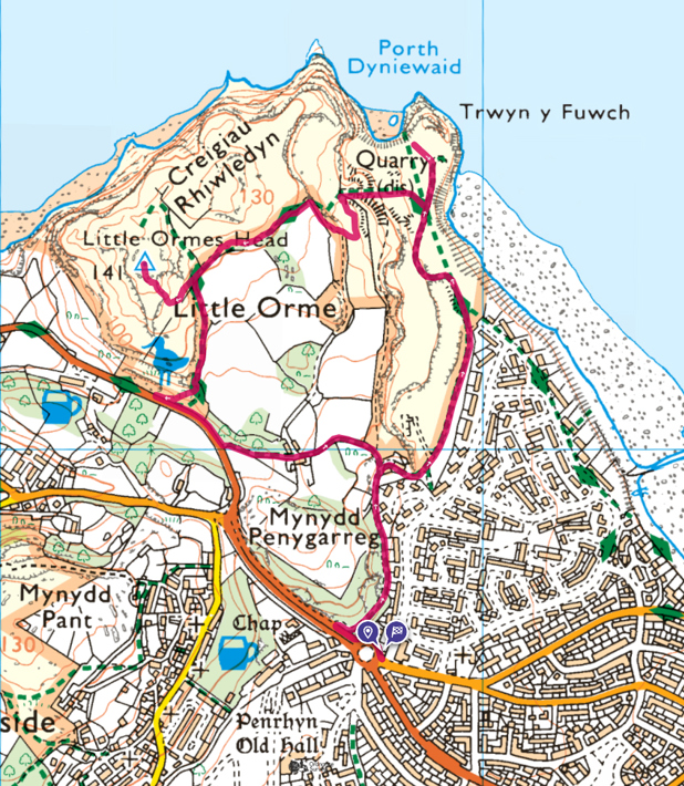Wales Coast Path / Little Orme